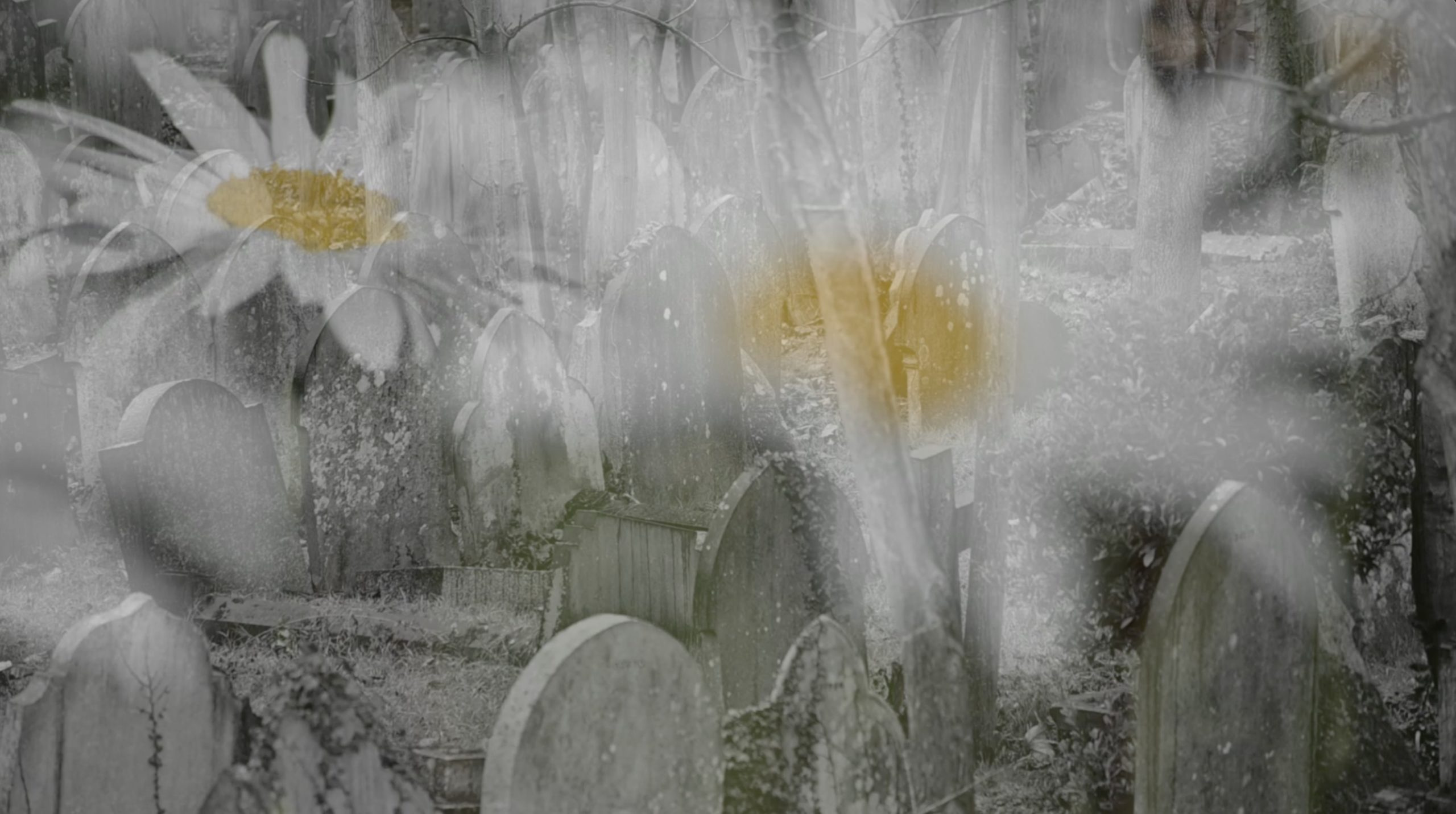 New Soundscape by Artist Trevor Mathison at Highgate Cemetery - Stuart ...