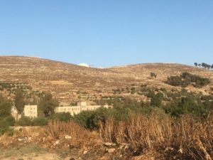 Home - Stuart Hall Foundation